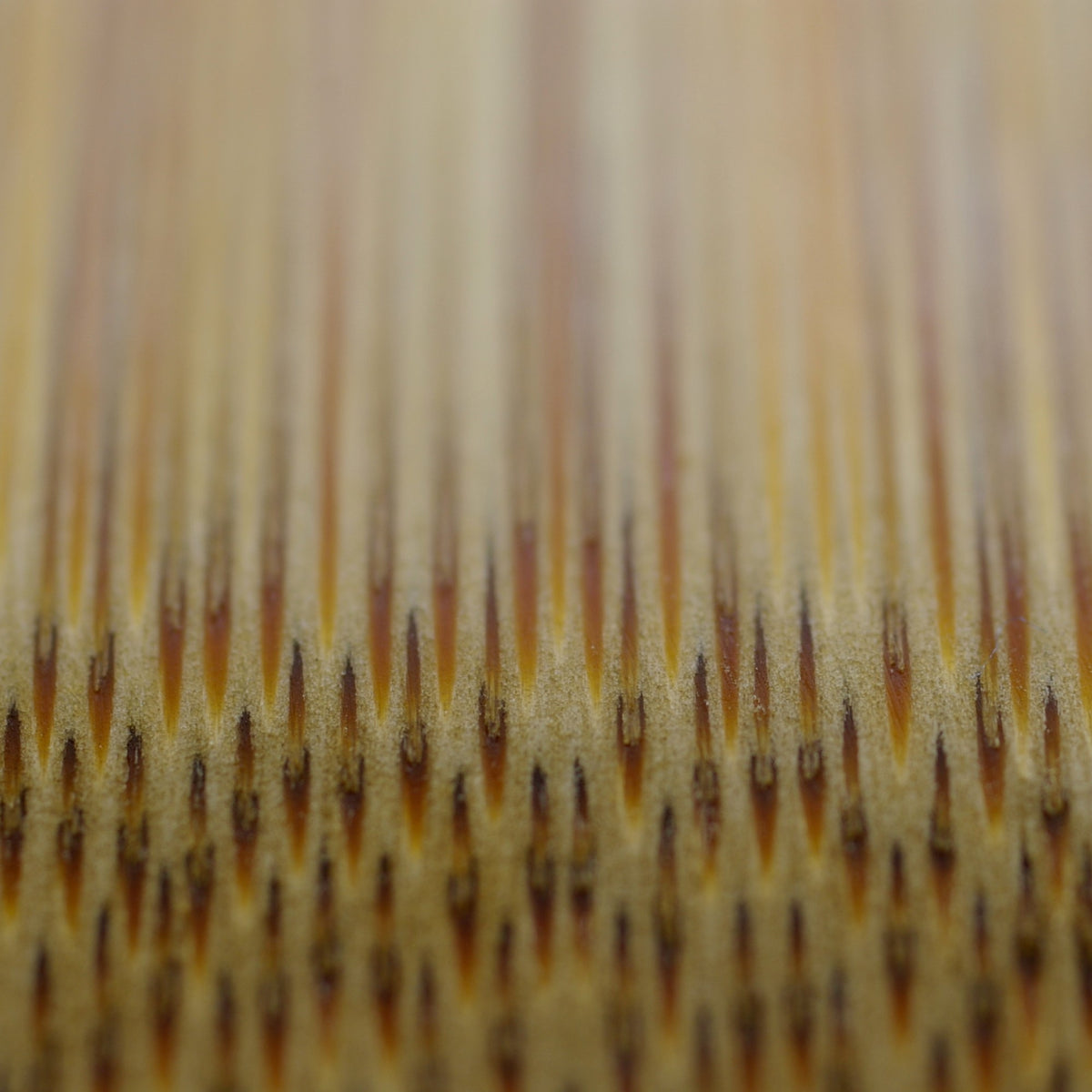 Bamboo Fabric Fibre origin and environmental implications – Bawn Textiles
